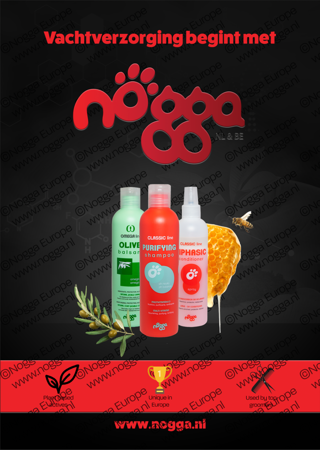 Nogga Flyer — Nogga NL & BE